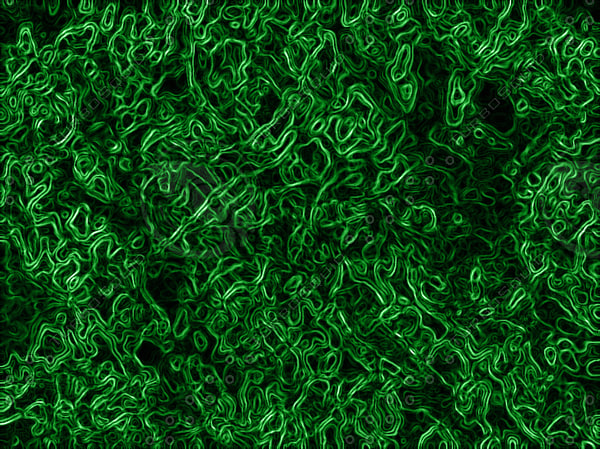 Texture JPEG abstract worms curve