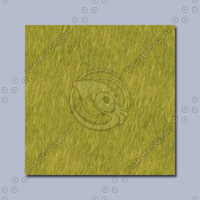 Texture JPEG ground groundPack pack