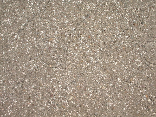 Texture JPEG sea shell floor