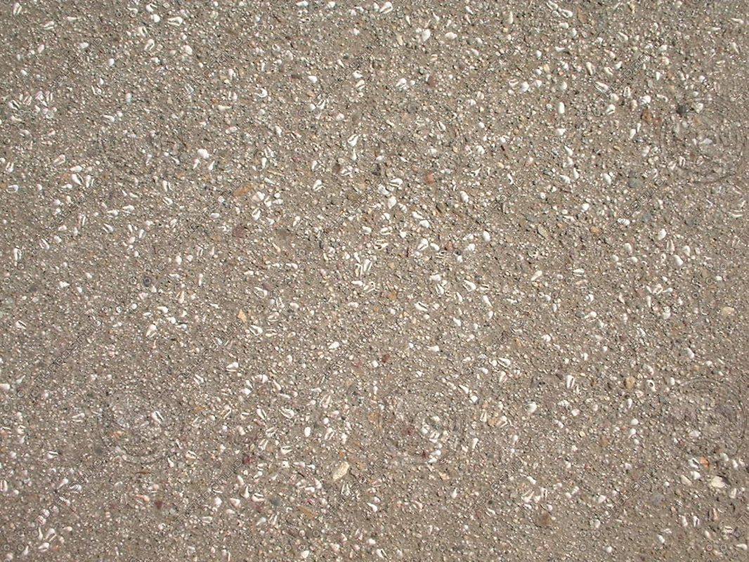 Texture JPEG sea shell floor