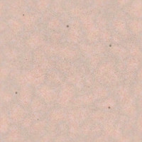 3D Free Skin Texture Maps, 3D skin Animation, 3D Tree Files at TurboSquid