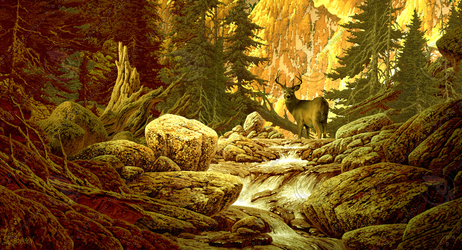 Stock JPEG deer deer stream