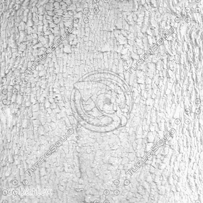 Texture JPEG Bark rough bump