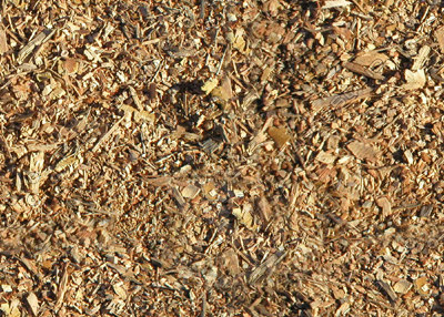 Texture Windows Bitmap Wood Chips Bark