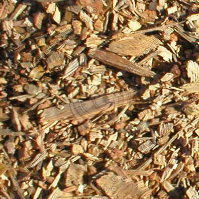 Texture Windows Bitmap Wood Chips Bark