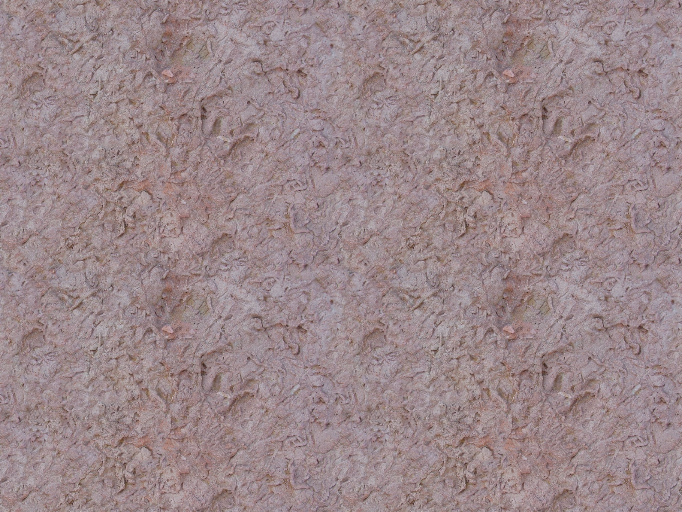 Texture JPEG rock biotrabation tile