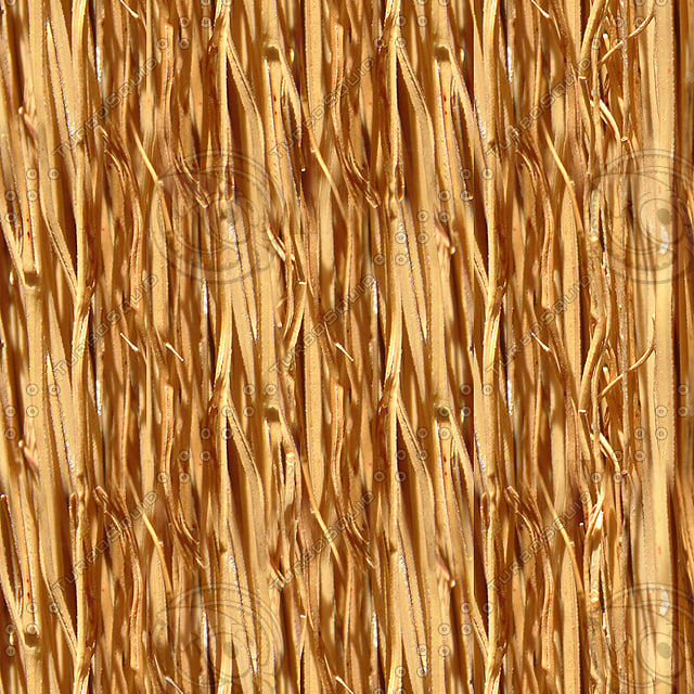 Texture JPEG wood brushwood cane