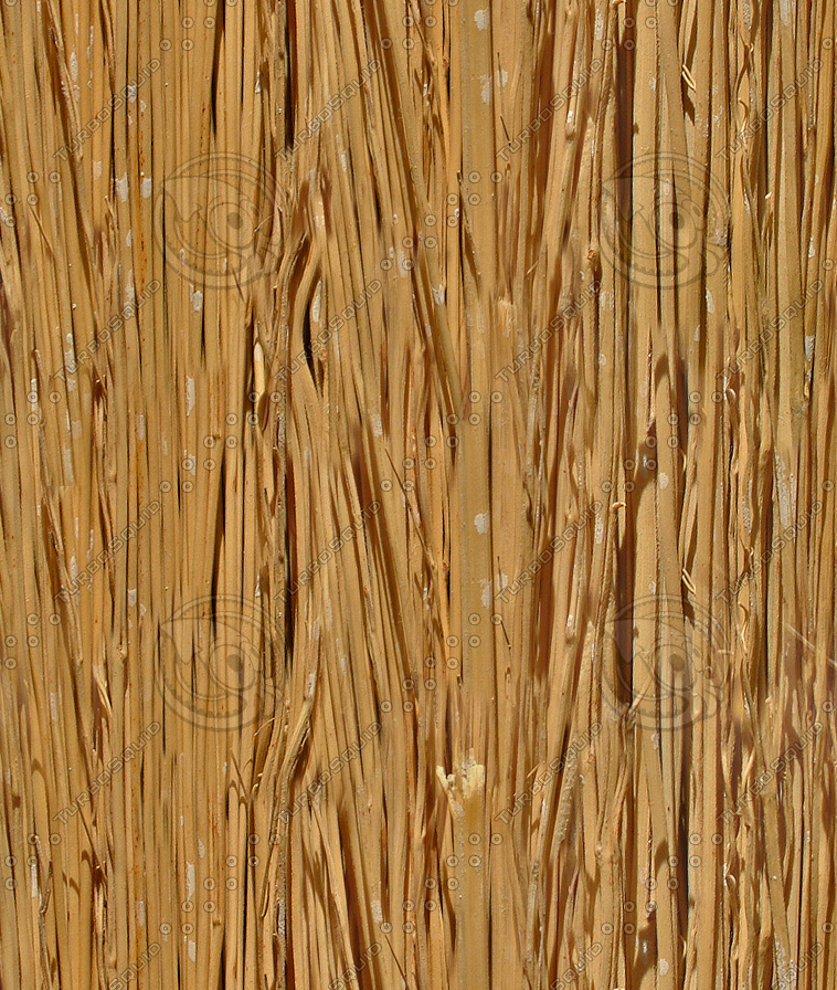 Texture JPEG tileable wood brushwood
