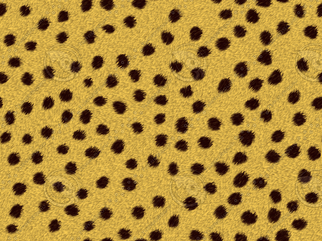 Texture Photoshop cheetah cheeta fur