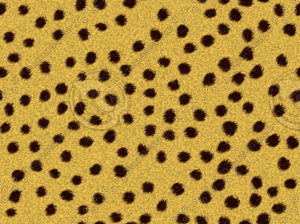 Texture Photoshop cheetah cheeta fur