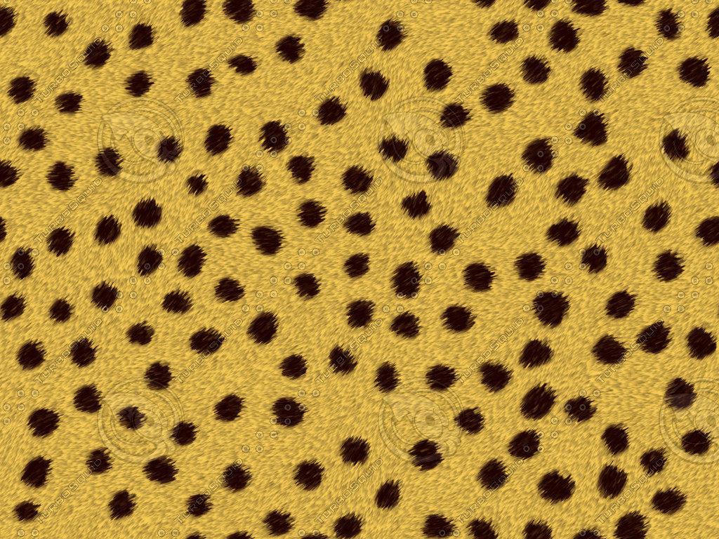 Texture Photoshop cheetah cheeta fur