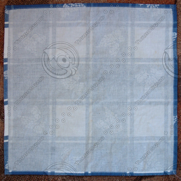 Texture JPEG cloth dish fabric
