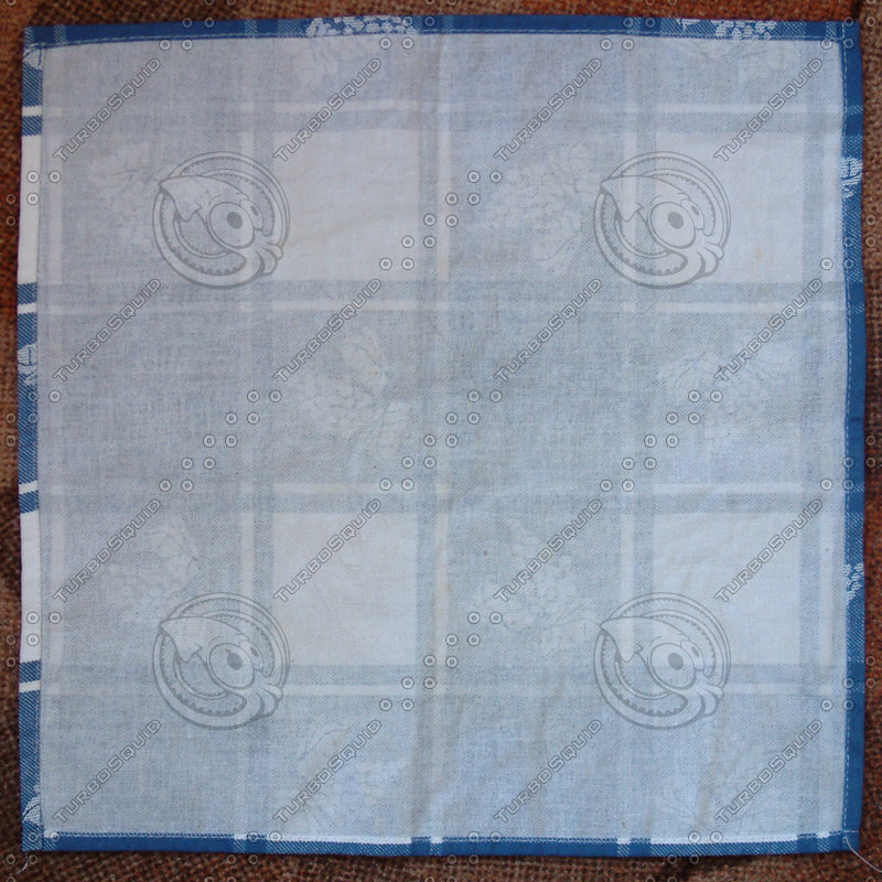 Texture JPEG cloth dish fabric