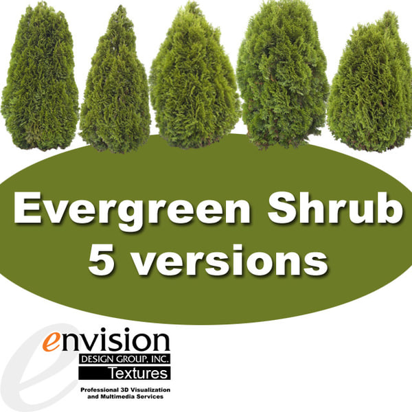 Texture Targa bush trees plant