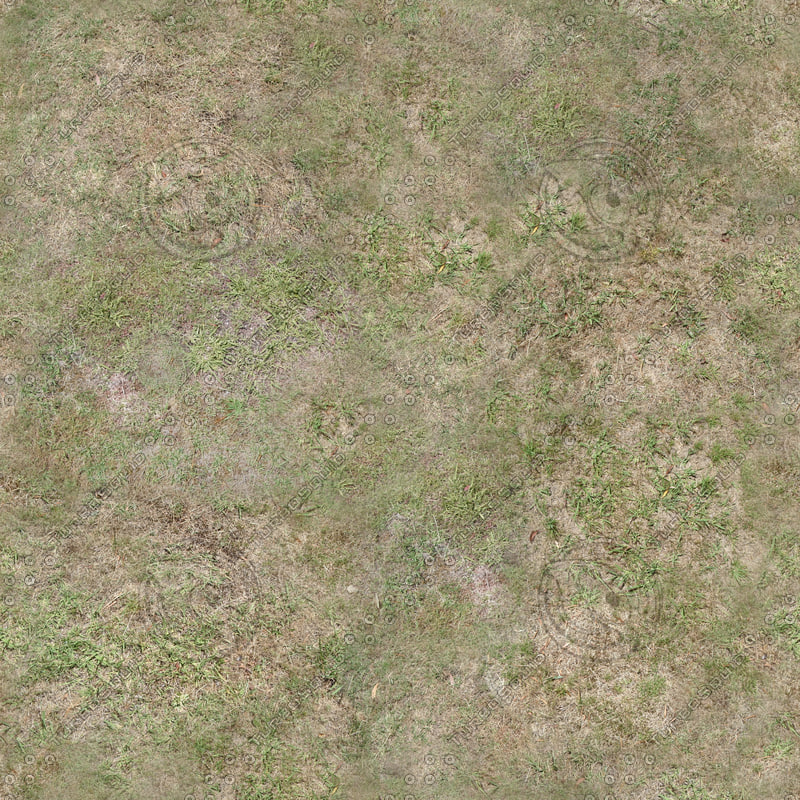 Texture JPEG grass patchy dry