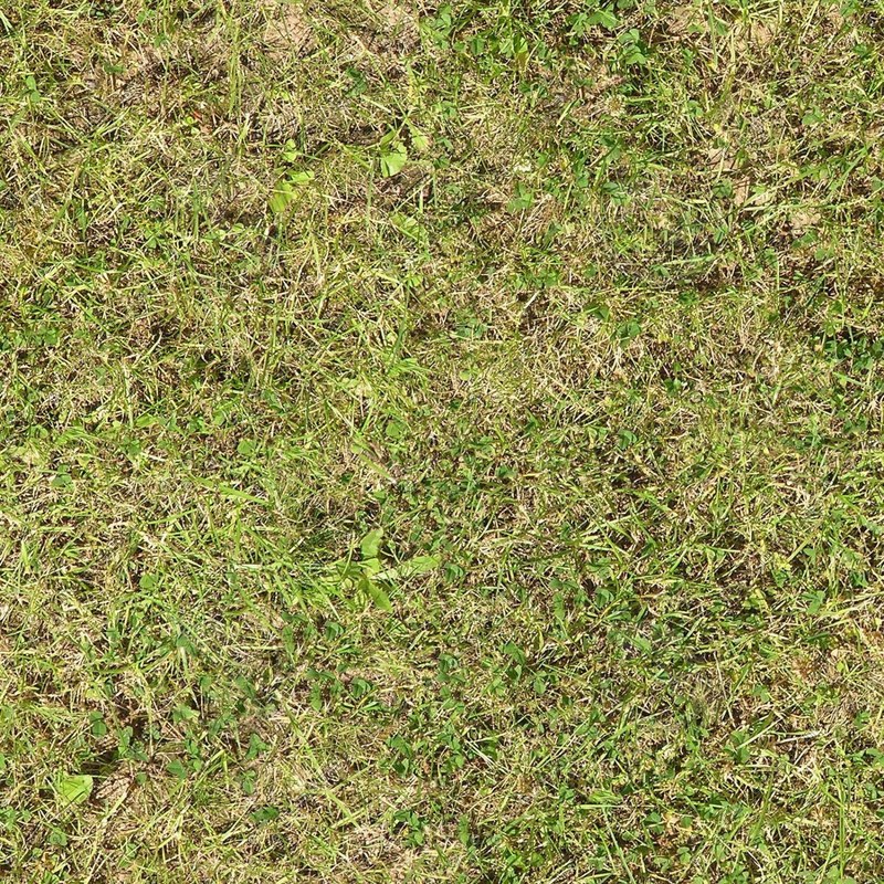 Texture Other grass dry ground