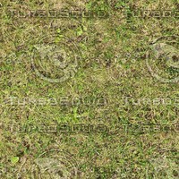 Texture Windows Bitmap rock wall tileable