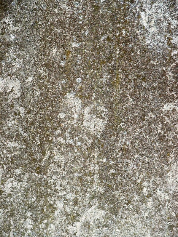 Texture JPEG grave back detail
