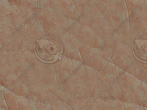 Texture JPEG skin tiles human