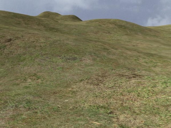 Texture JPEG grass patchy dry