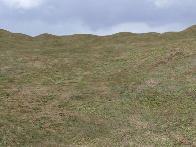 Texture JPEG grass patchy dry