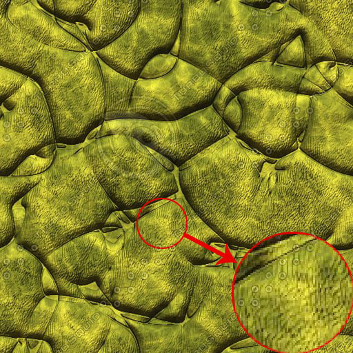 Texture Reptile Texture Pack