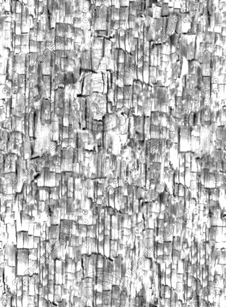 Texture JPEG bump Wood 3d