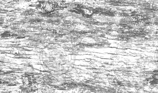 Texture JPEG bump Wood 3d
