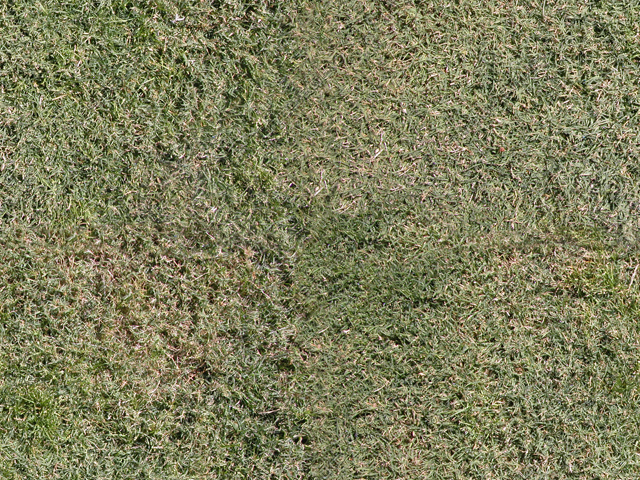 Texture JPEG grass tile seemless