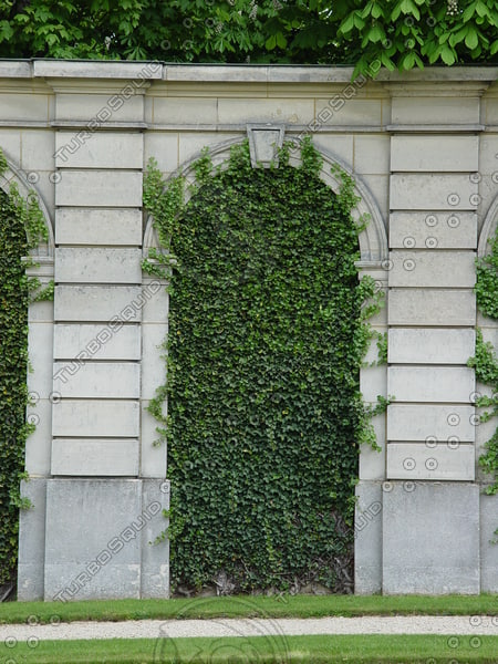 Texture JPEG frontage window wall