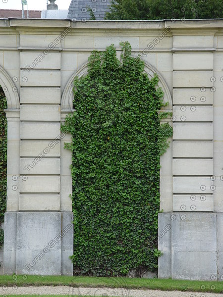 Texture JPEG frontage window wall