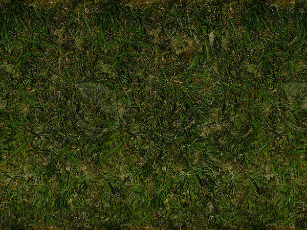 Texture JPEG dark grass ground