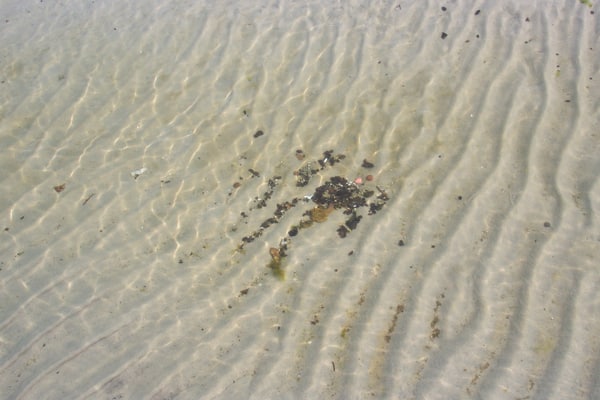 Texture JPEG ripples ocean sea