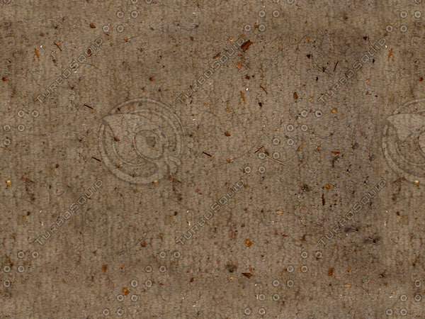 Texture JPEG rug dirty carpet