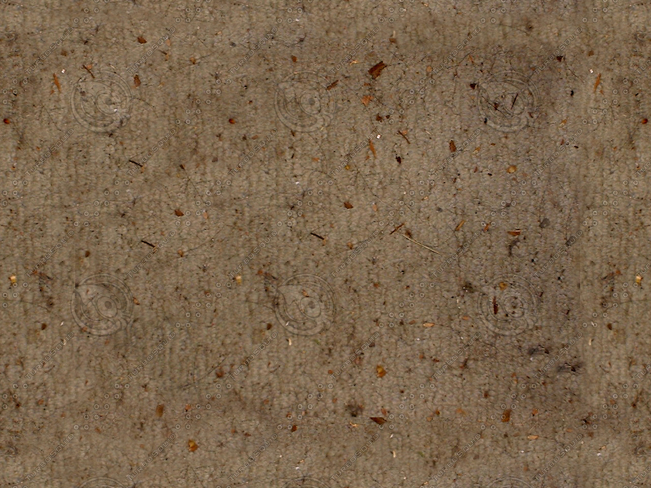 Texture JPEG rug dirty carpet