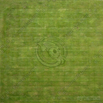 Texture JPEG Grass Ground Striped