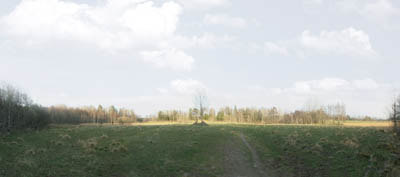 Texture JPEG ground Landscape grass