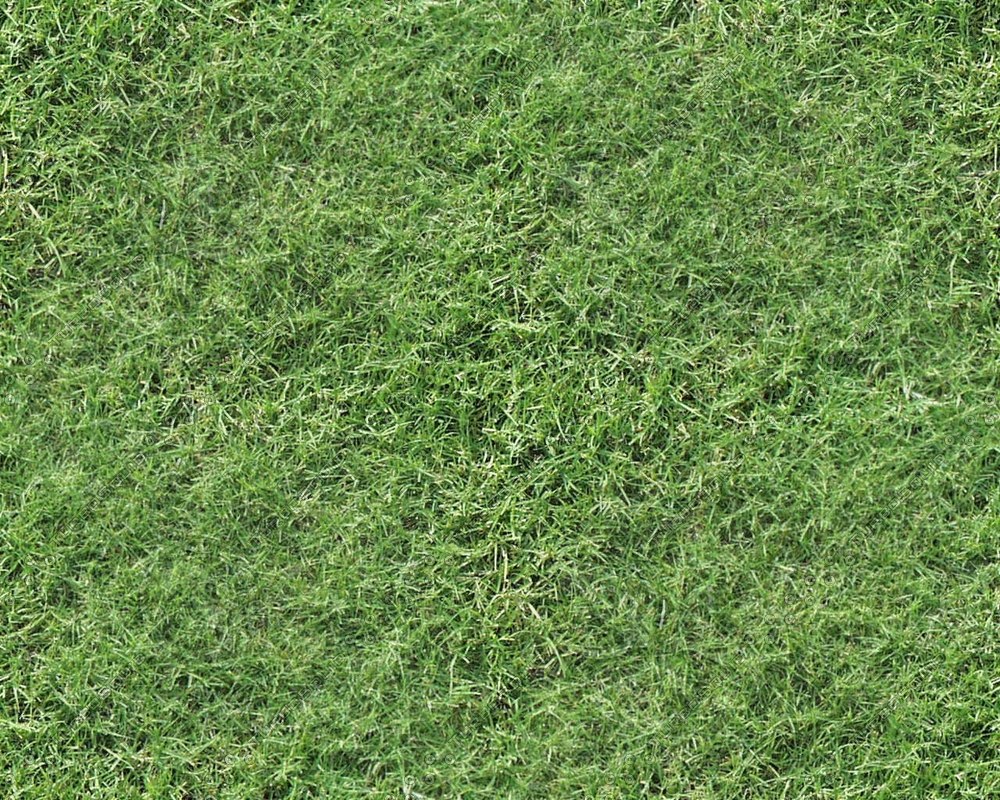 Texture JPEG grass seamless cheap
