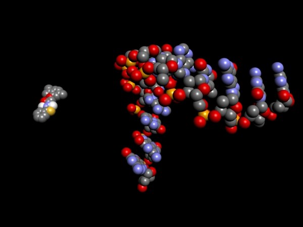 Scripts MaxScript maxscript max MOL