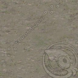 Texture Windows Bitmap grass grassy ground