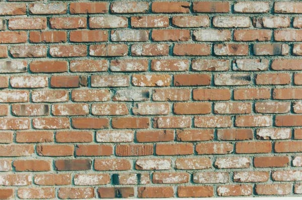 Texture JPEG brick wall 1