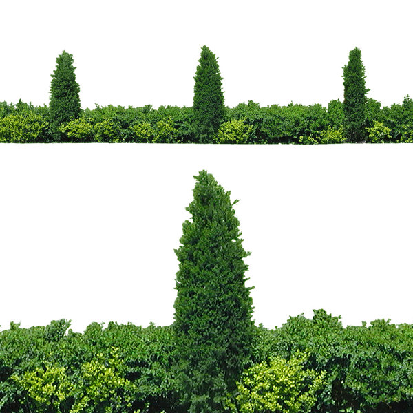 Texture Photoshop Collection tree plants