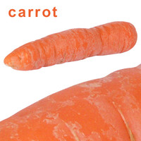 Texture JPEG carrot vegetable organic