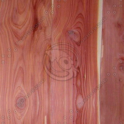 Texture JPEG cedar oak tree