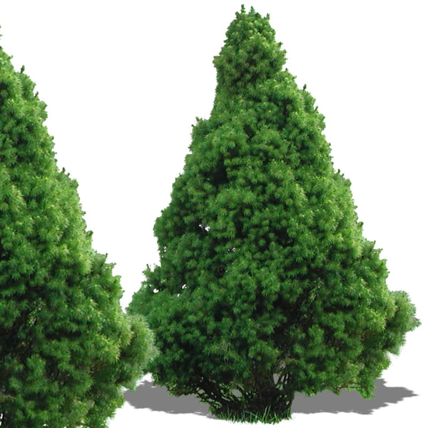 Texture Photoshop ultimate collection plants