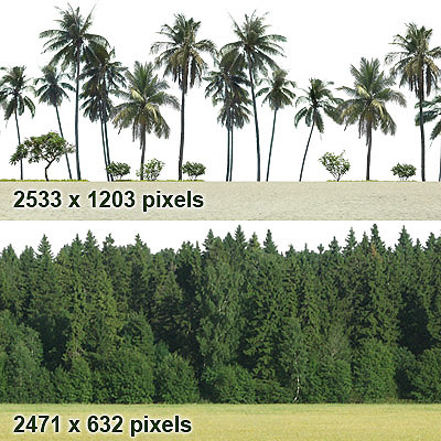 Texture Photoshop forest tree line