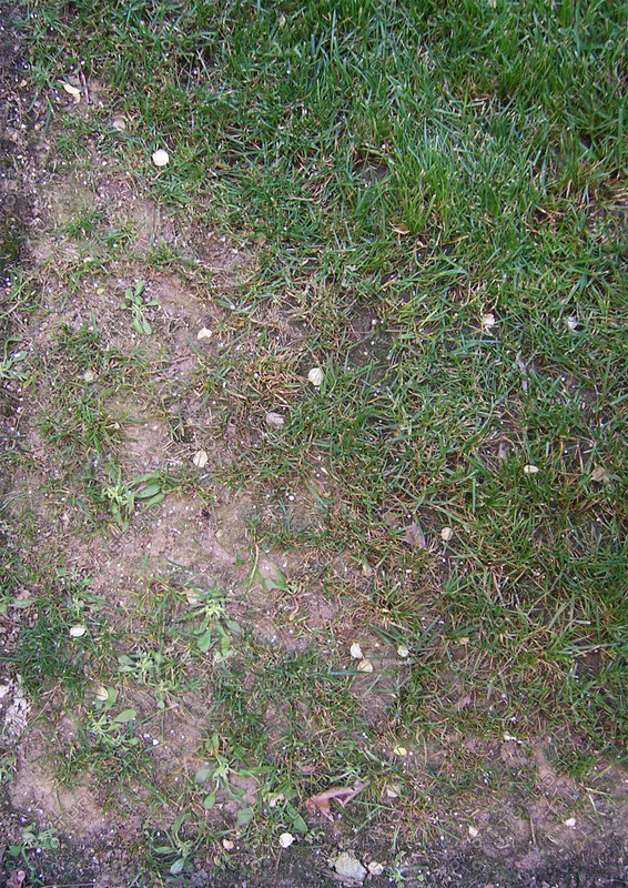 Texture JPEG dirt grass ground