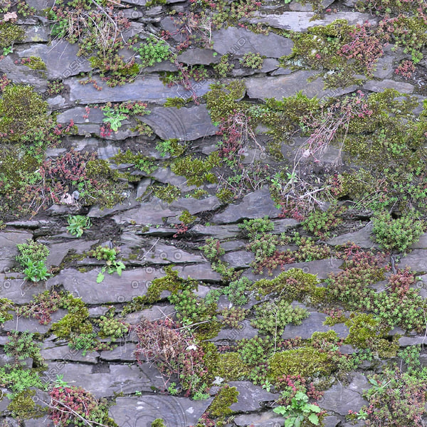 Mossy Stone Texture