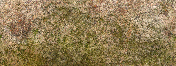 Texture JPEG Moss Stone Wide