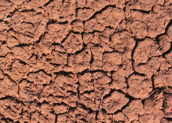 Texture JPEG rock mud texture